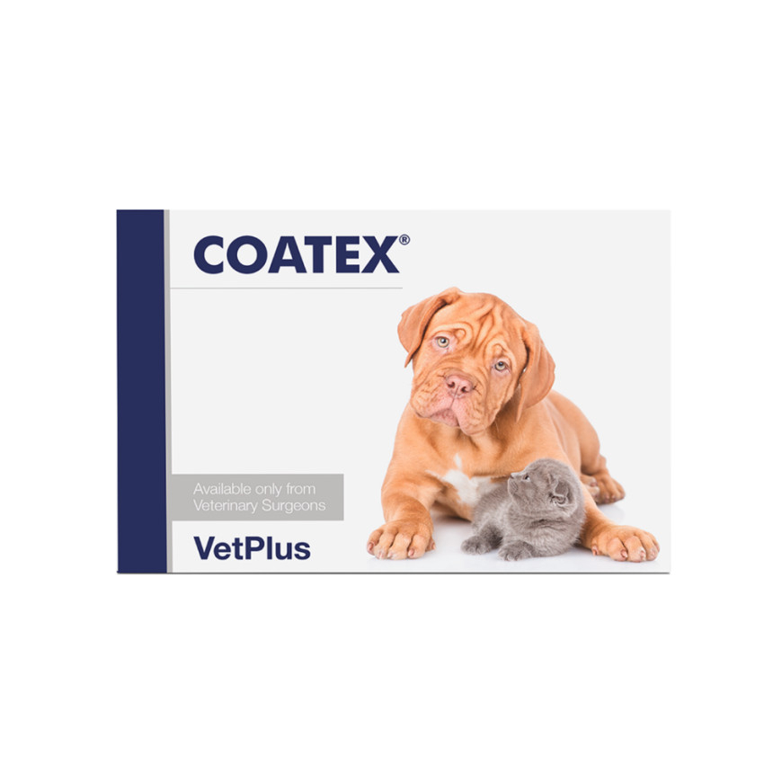 VetPlus Coatex Softgels 1Box ( 60 Capsules ) / 15 Capsules for dogs and ...