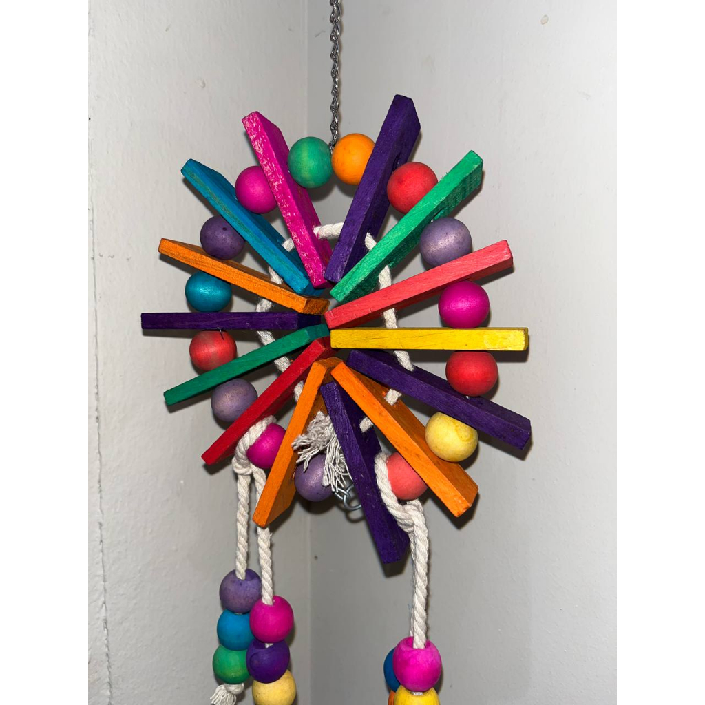 Rainbow Ferris Wheel Wooden Bird Toy | Shopee Philippines