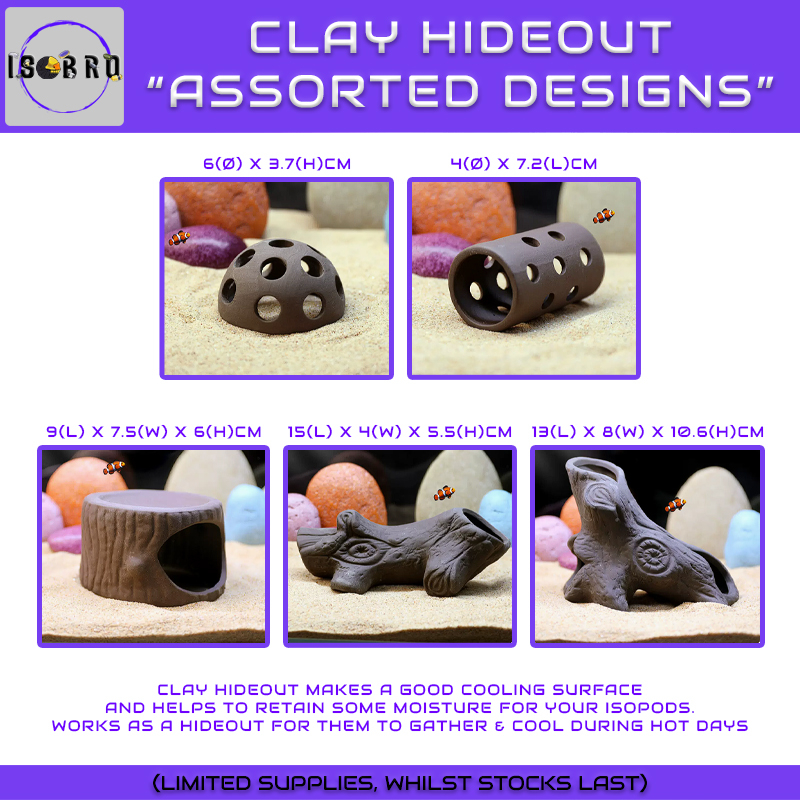 Clay Hideout Assorted Designs — (For Isopod / Fish / Shrimp / Small ...