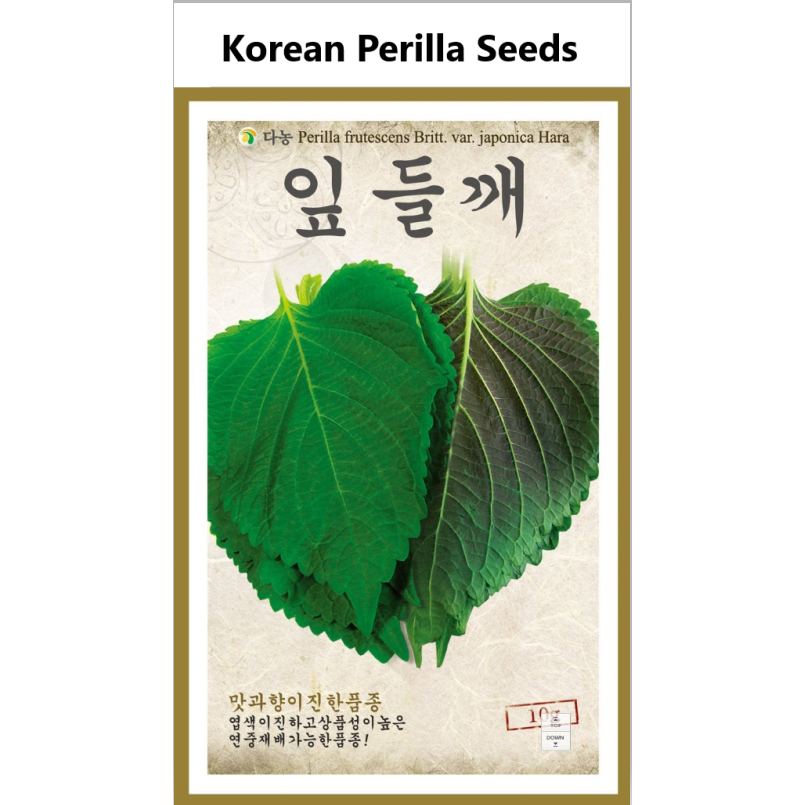 Korean Perilla Seeds / kkaes-ip /Gardening Seeds /3PCS | Shopee Philippines