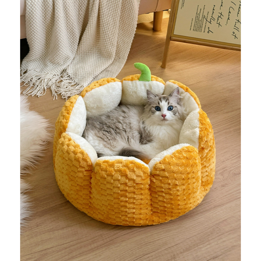 "Local Cute Pumpkin-Shaped Cat Be dmi-Enclosed with Removable Padded ...