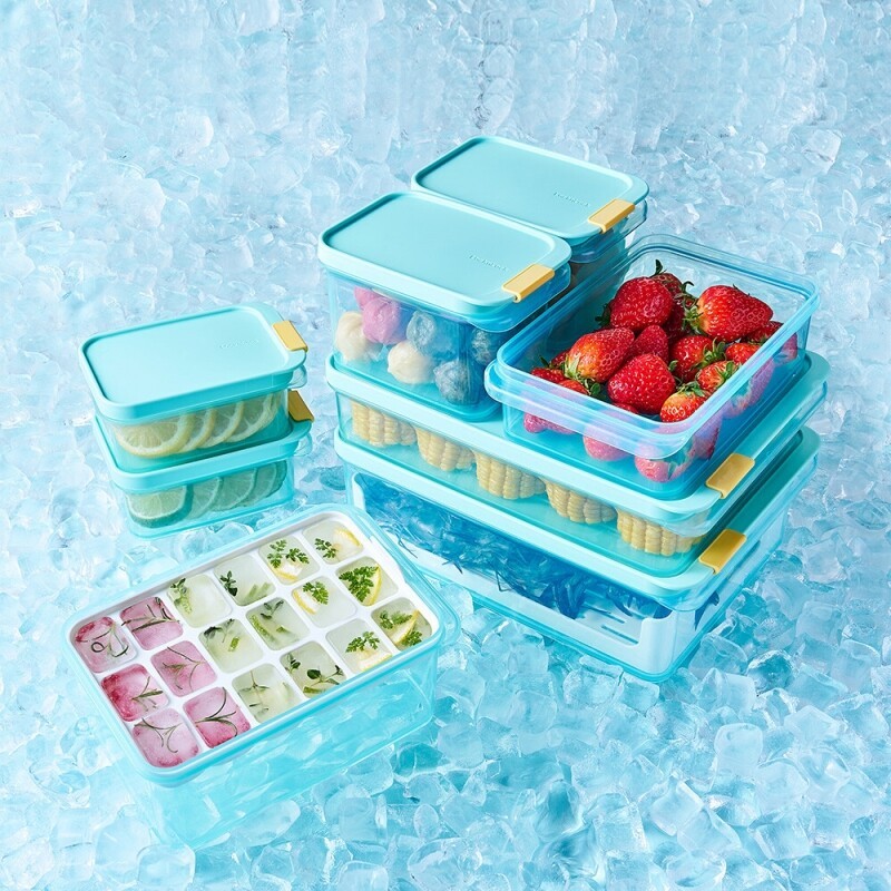 LocknLock Freezer Fit Containers Case for freezer Storage Stackable BPA ...