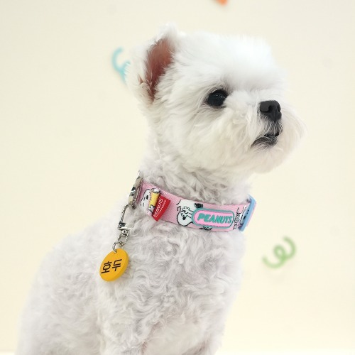 PEANUTS THEME COLLAR-Vibrant Snoopy-Themed Collar | Shopee Philippines