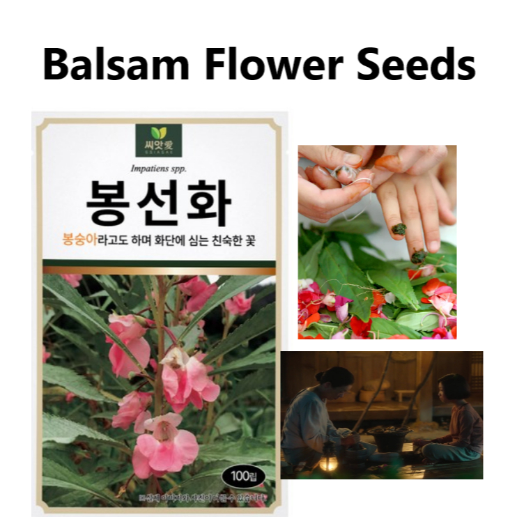 Balsam Flower Seeds (Impatiens balsamina) k-Drama "When Life Gives You ...