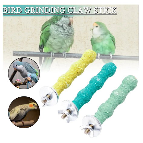 SG | 14CM Bird Sand Perches | Shopee Philippines