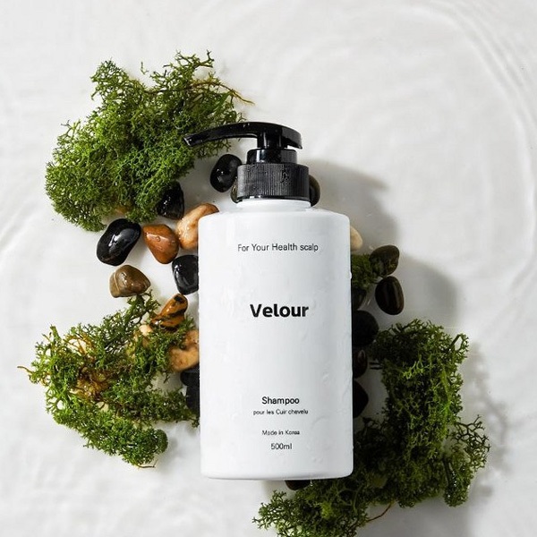 Velour Scalp care shampoo 500ml KOREA K Beauty Hair Care Shampoo (Shelf ...