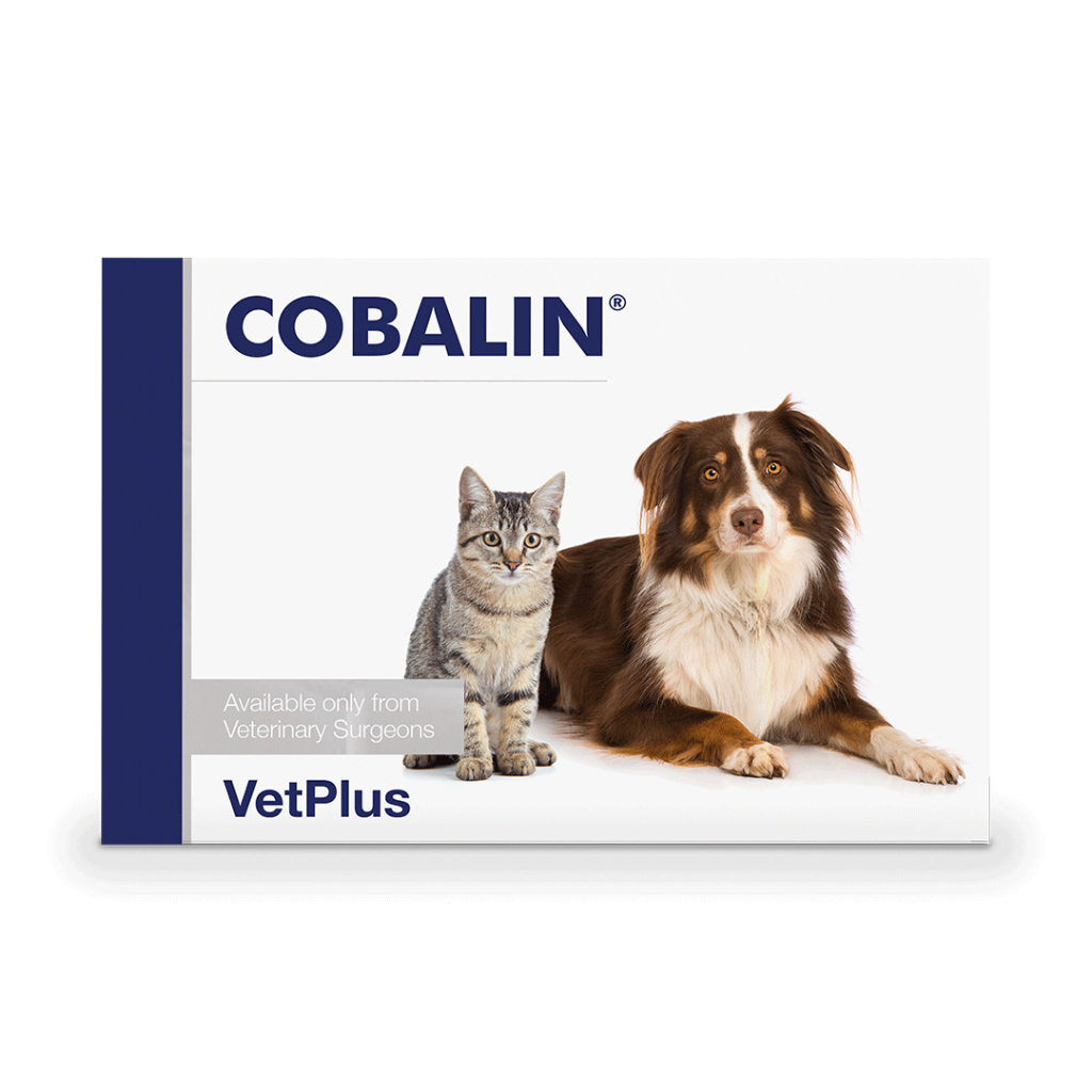 [VetPlus] COBALIN for Dogs & Cats(60 Capsules) / Nutritional Supplement ...