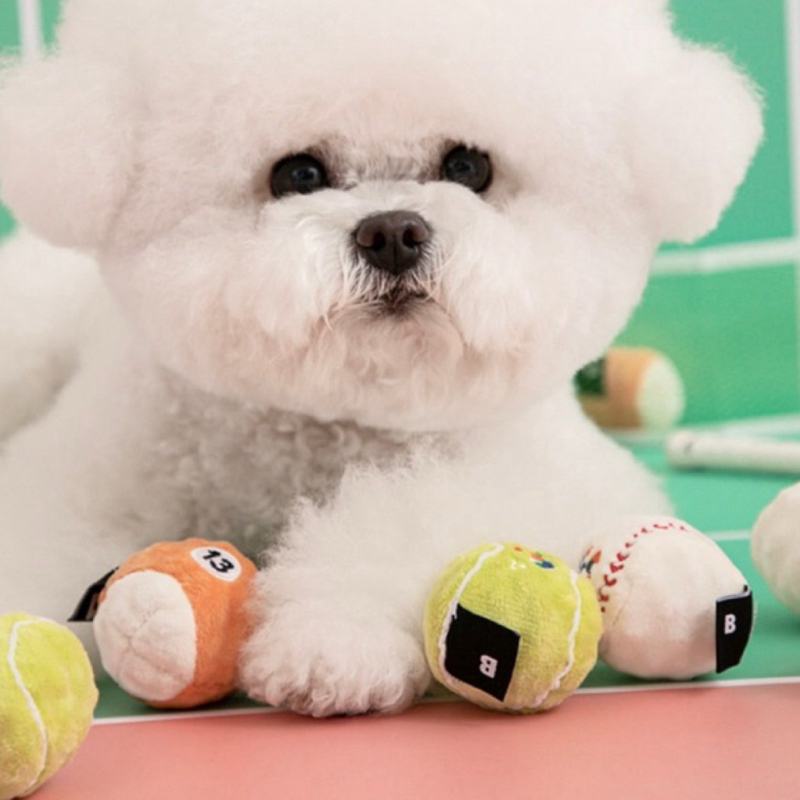 BITE ME Dog Ball Toy Sets (3 Designs) | Shopee Philippines