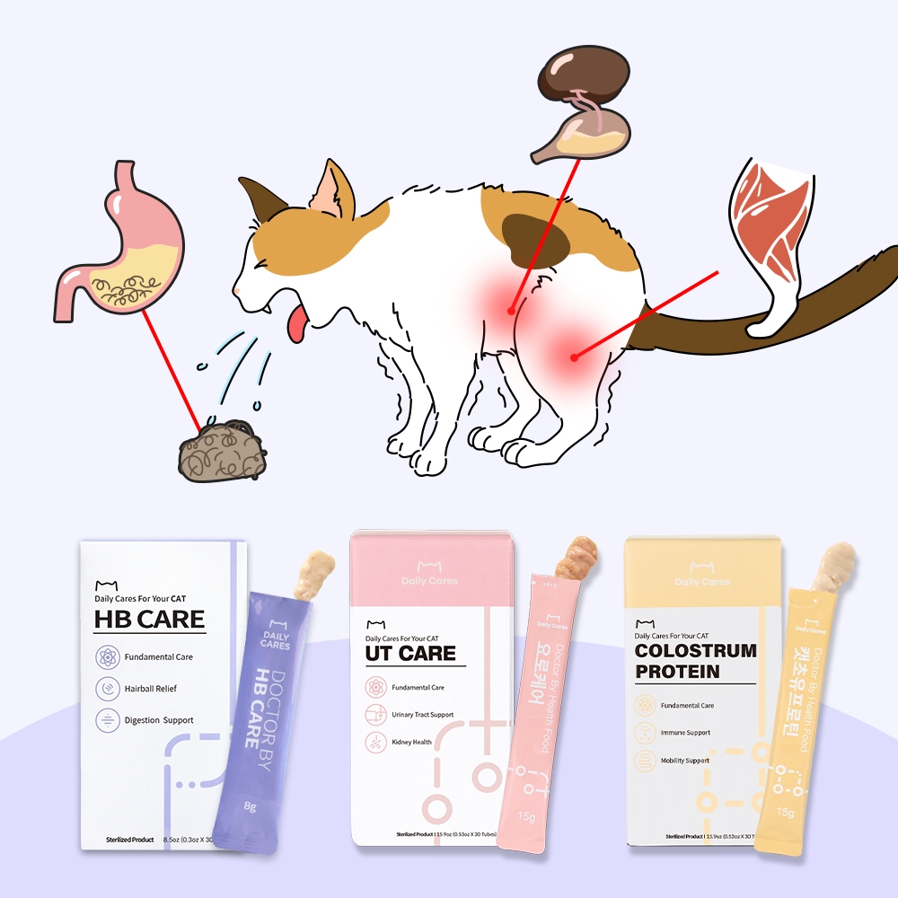 DOCTORBY Cat Treat Stick Food Hairball Milk Happy Colostrum Urine And ...