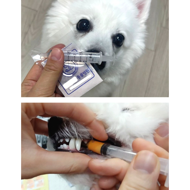 Syringe Feed Pet Feeder Injectable Feeder Straight-Functional Syringe ...