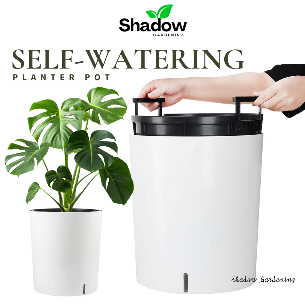 SG_SHADOW|Large Self-Watering Plant Pot Large Round Self Watering ...