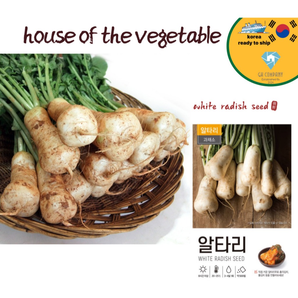 Vegetables that can be grown at home, white radish seeds, altari ...