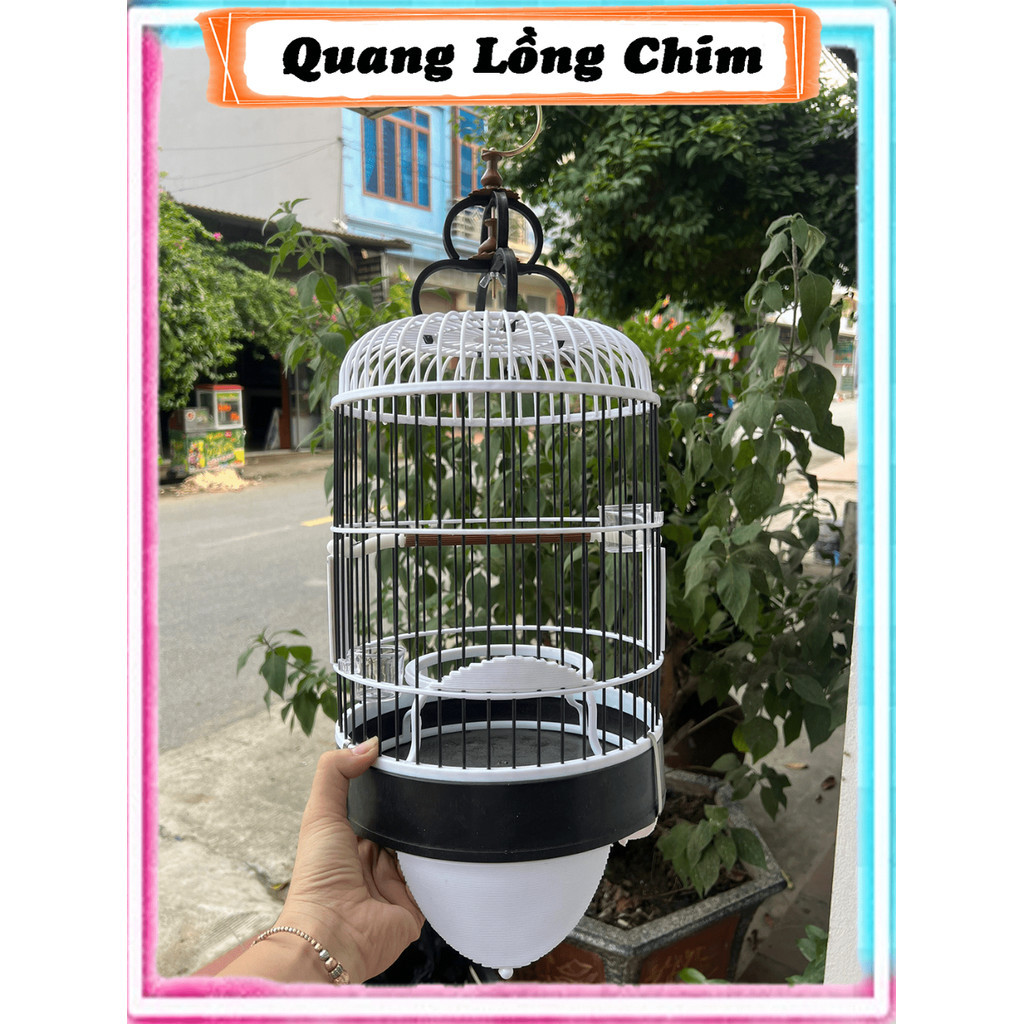 Khuyen Crown Prince bird cage - self-assembled frame - cage has been ...