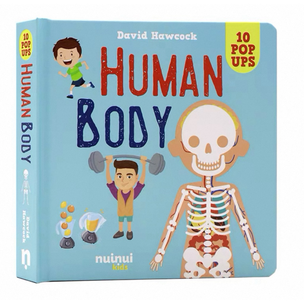 Human Body (POP Up Board Book) | Shopee Philippines
