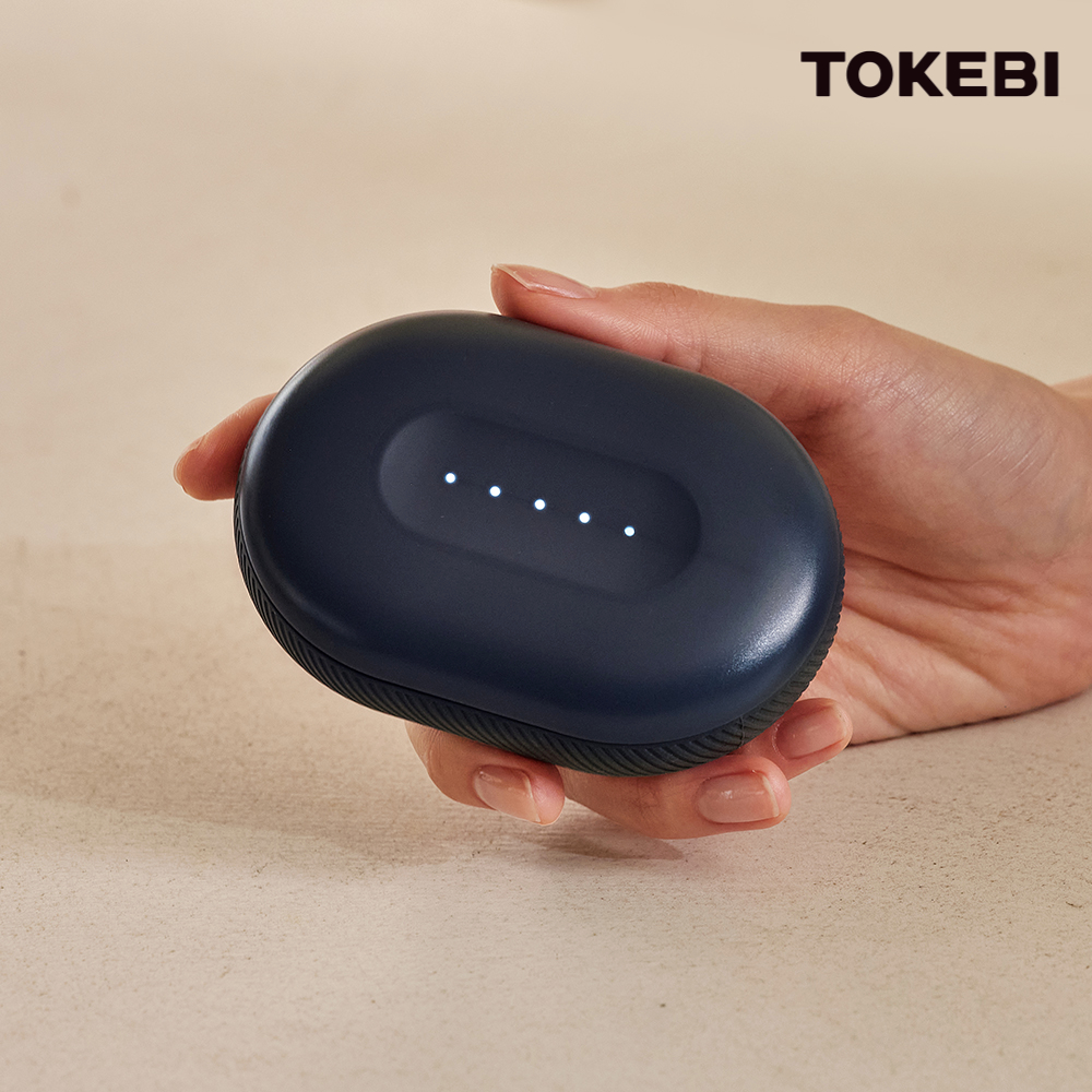 TOKEBI Pairble Multi-Use Rechargeable Battery – For Hand Blender ...