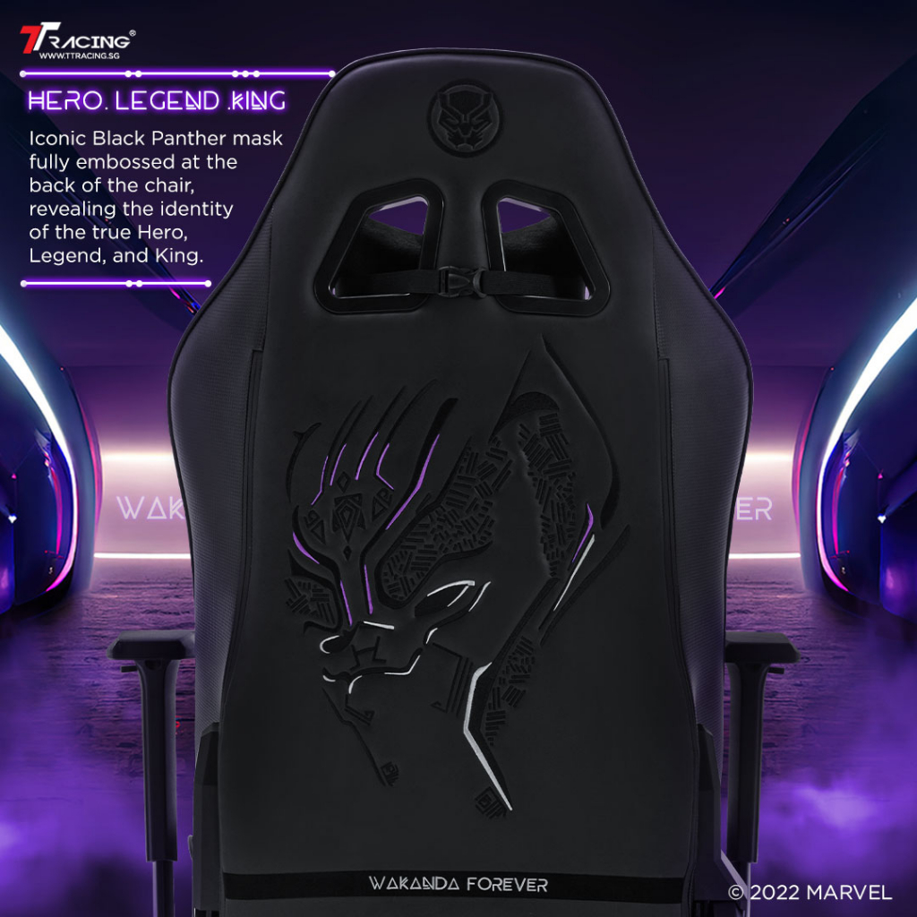 TTRacing Swift X Black Panther Gaming Chair Ergonomic Home Office Chair ...