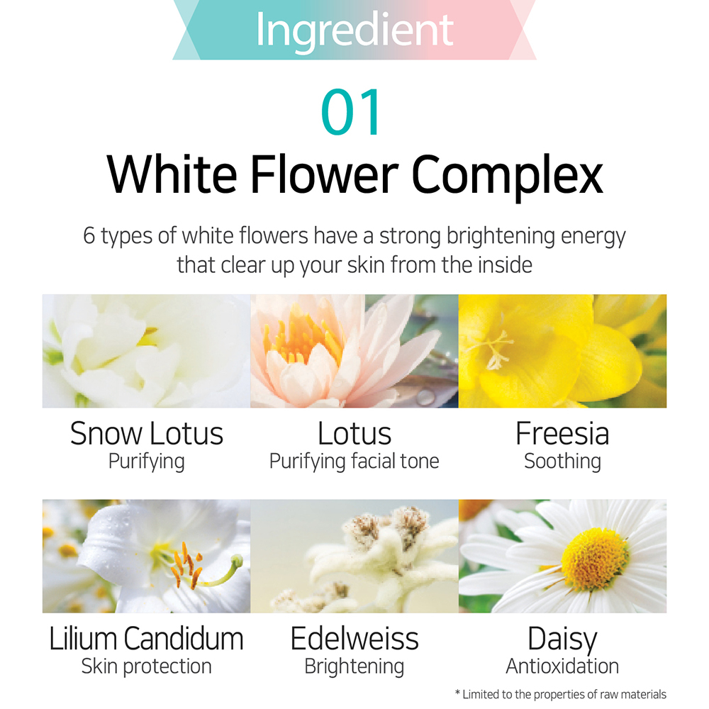 [Petitfee Official]Snow Lotus White Tone Up Cream 50ml | Shopee Philippines