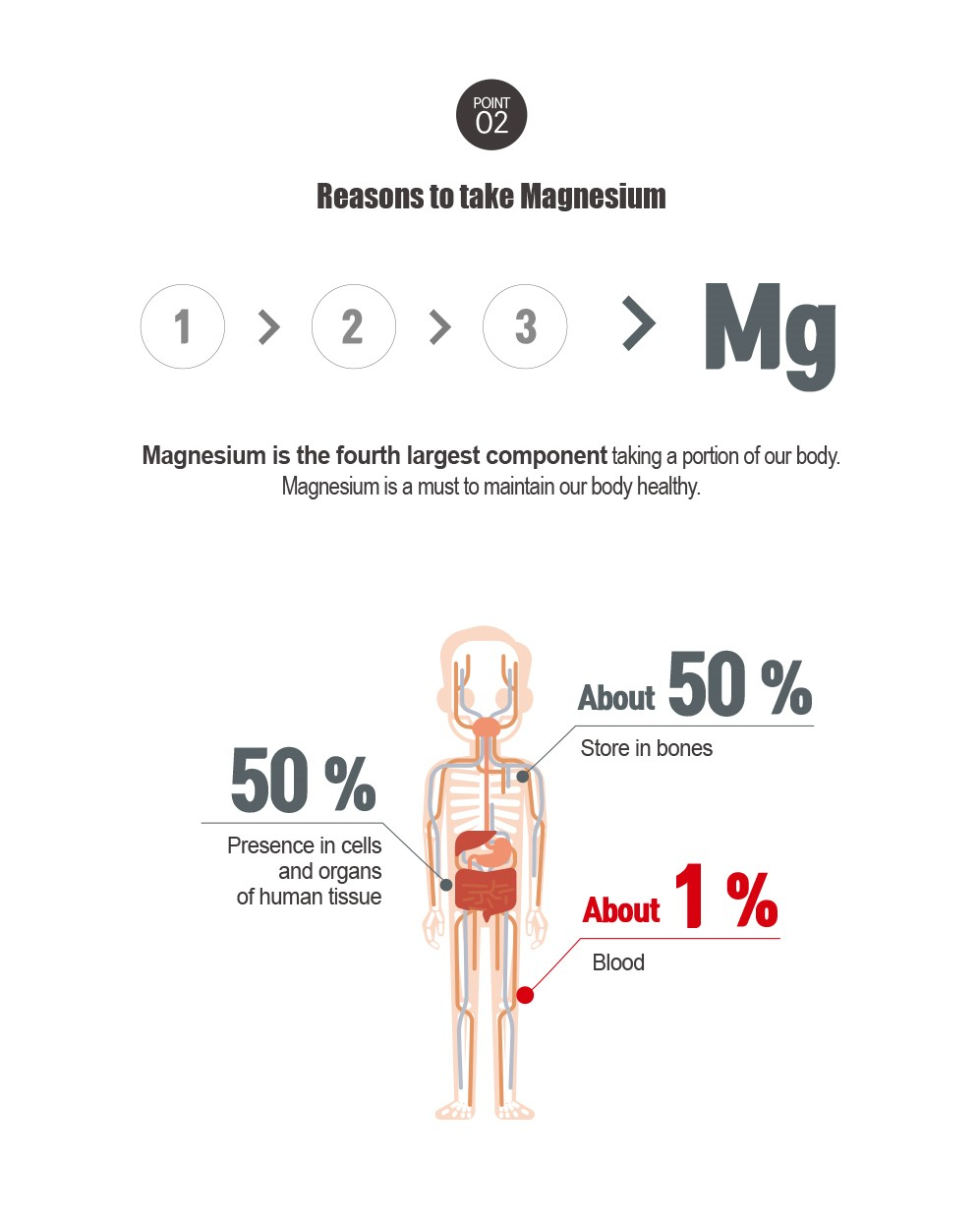 Magnesium 350 with Vitamin B6 90 capsules (Dr. Elizabeth's) | Shopee ...