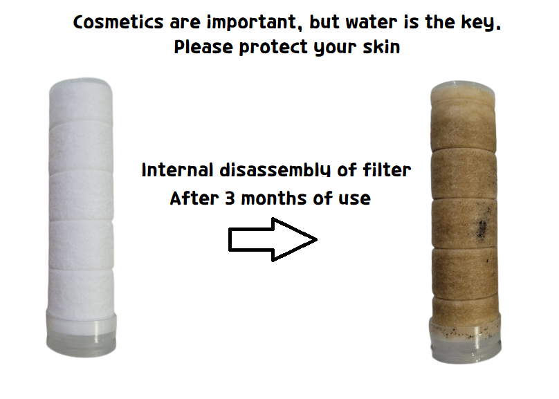 DAISO Vitamin Aroma Shower Head Filter Moisturizing and Skincare Pure ...