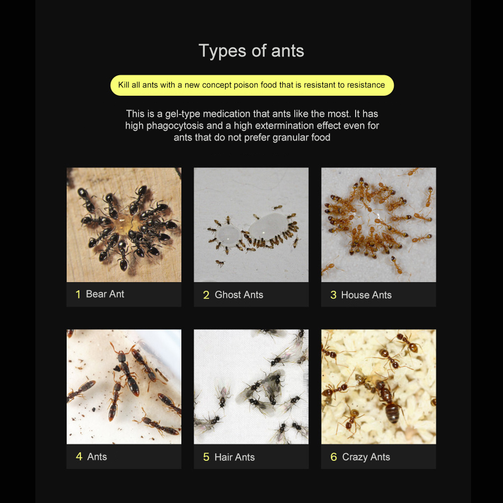 Bayer Maxforce Quantum 30g Get Fast and Long-Lasting Ant Control (No ...