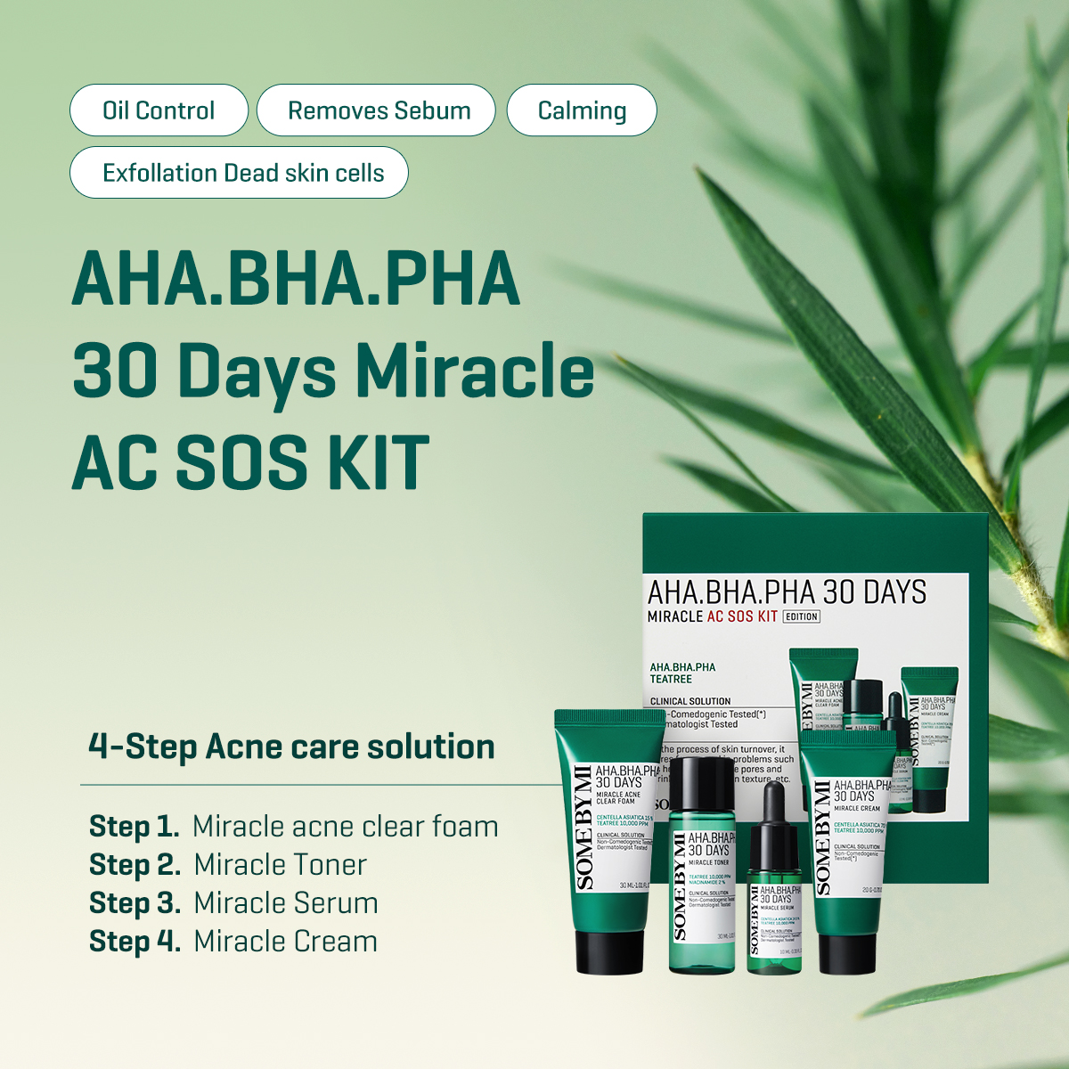 [Anti Acne Kit] SOME BY MI OFFICIAL AHA-BHA-PHA 30Days Miracle ACNE ...