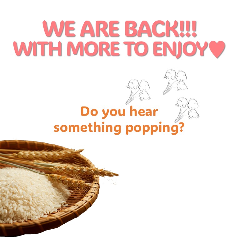 HAESSAL 100% KOREAN ORGANIC RICE Teethers & Finger Sticks -baby first ...