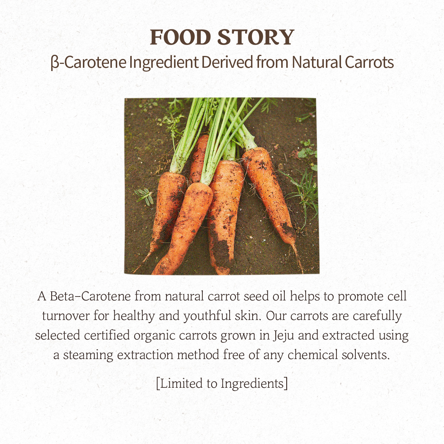 [Bundle of 10][SKINFOOD Official] Carrot Carotene Sheet Mask 10ea ...