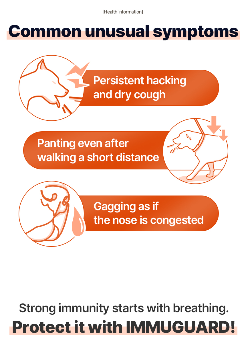 [Doctor By IMMU GUARD] Dog Cough Runny Nose Bronchial Respiratory ...