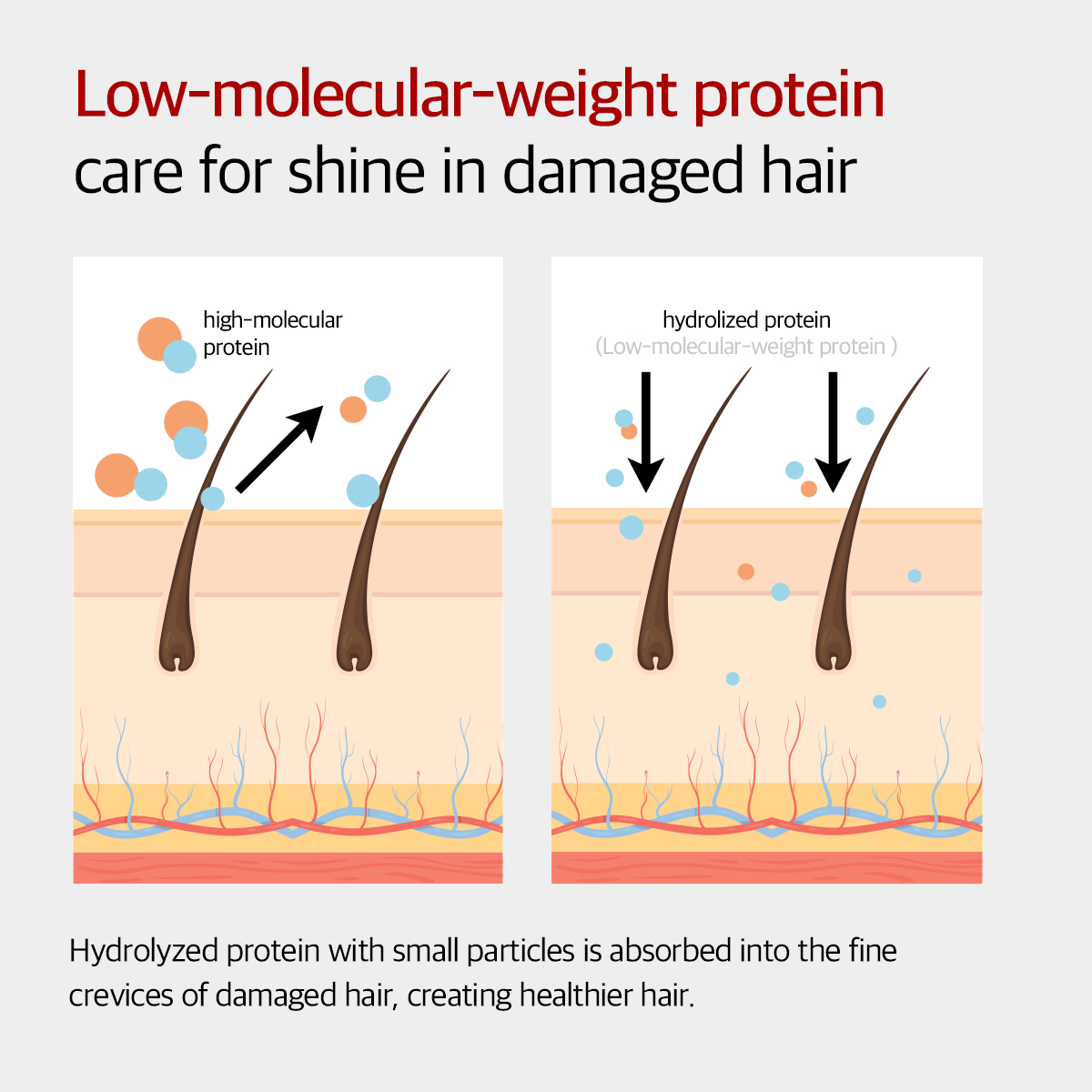 Lemetique Scalp Caffeine Daily Clinic Set | Shopee Philippines