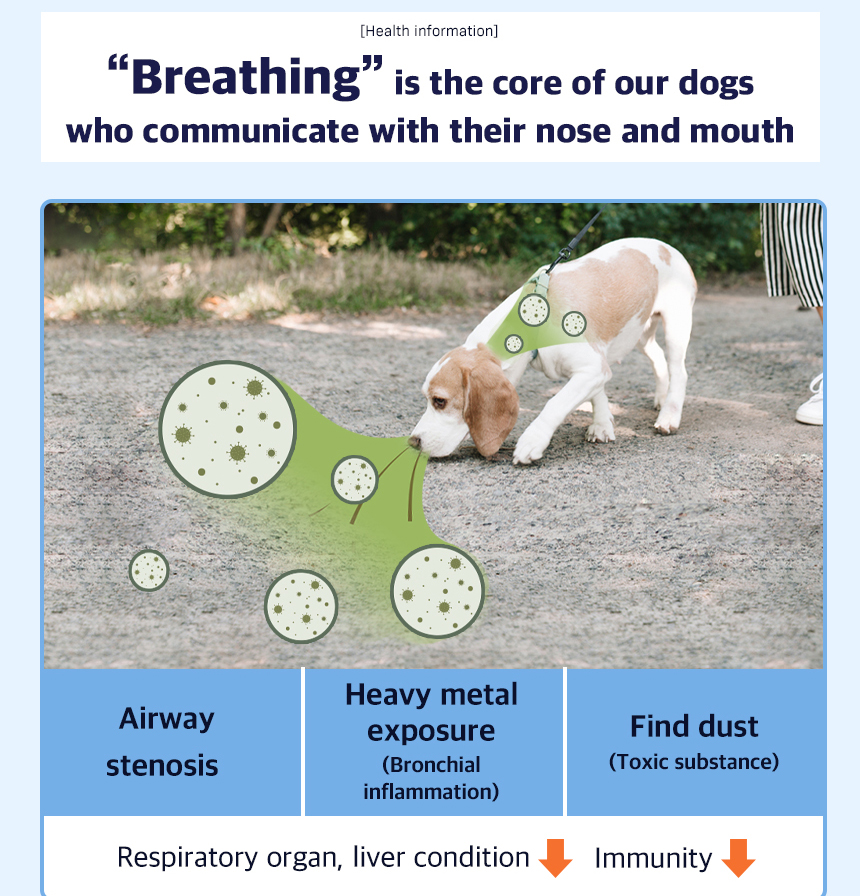 [Doctor By BREATH CARE] Dog Cough Bronchial Supplement Pet Freshening ...
