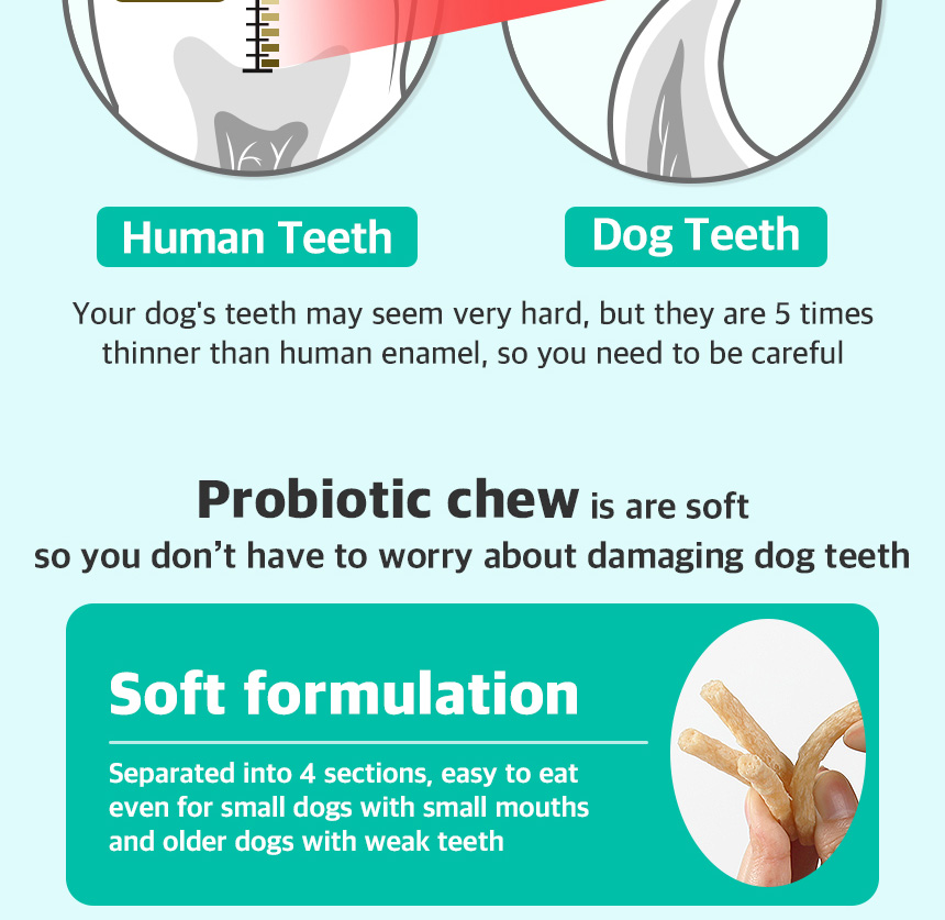 [DR.BY PROBIOTICS CHEW] Puppy Dental Gum Lactobacillus Teeth Snack ...