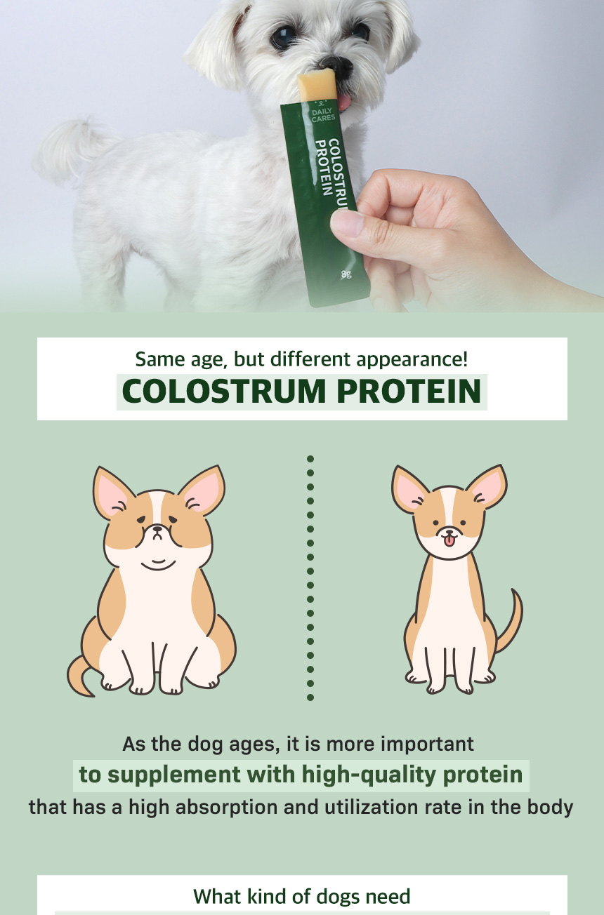 [Doctor By COLOSTRUM PROTEIN] Dog Muscle and Immunity care (30sticks ...