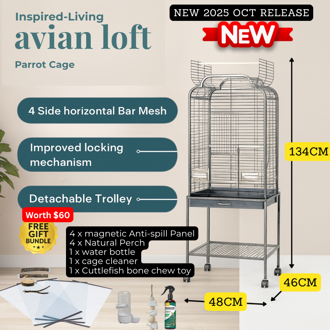 Large Bird Cage with Free Anti-Spill Fender | Spacious Flight Parrot ...