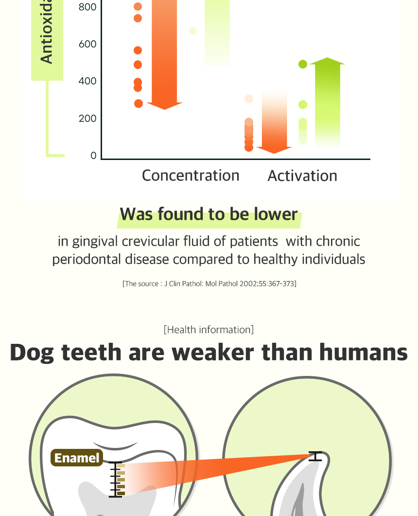 [Doctor By CHITO CHICA CHEW] Dental Chew Gum bad breath Toothpaste Dog ...