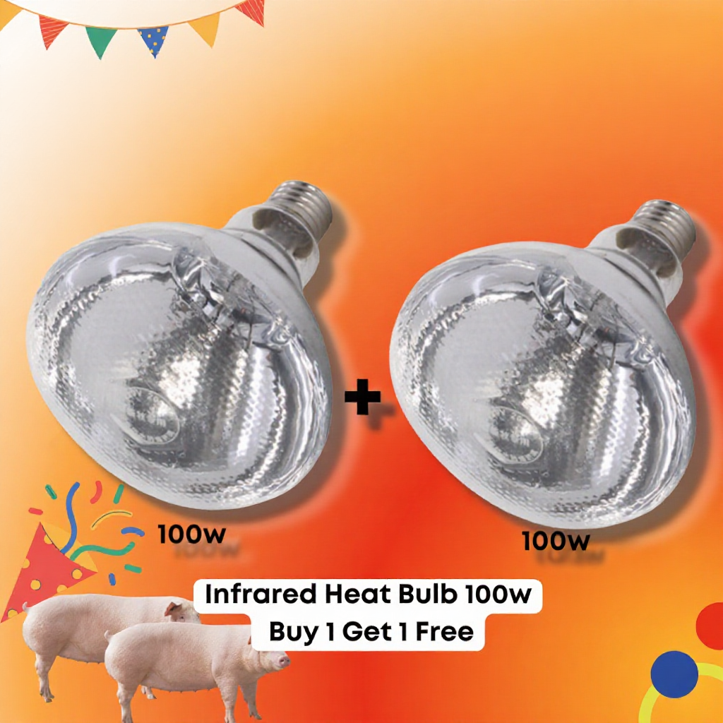 Buy 1 Take 1 – Infrared Bulb 100/150W for Piglets & Brooding Use ...