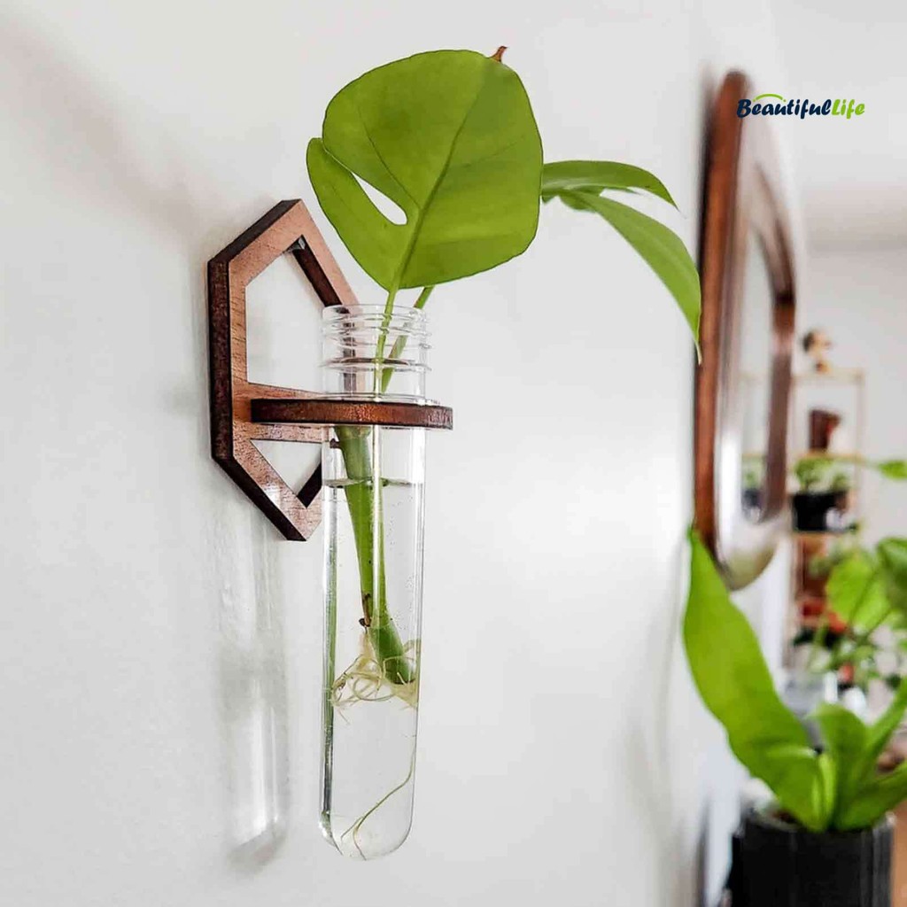 Beautifullife Wooden Test Tube Rack Wall Mounted Flowers Plants Holder ...