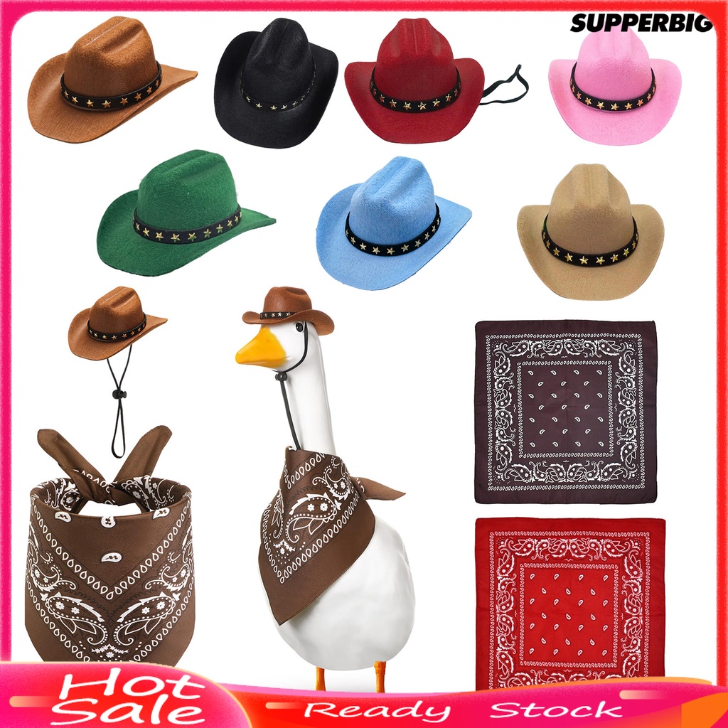 supperbig Cowboy Porch Goose Outfit Western Cowboy Hat with Bandana ...