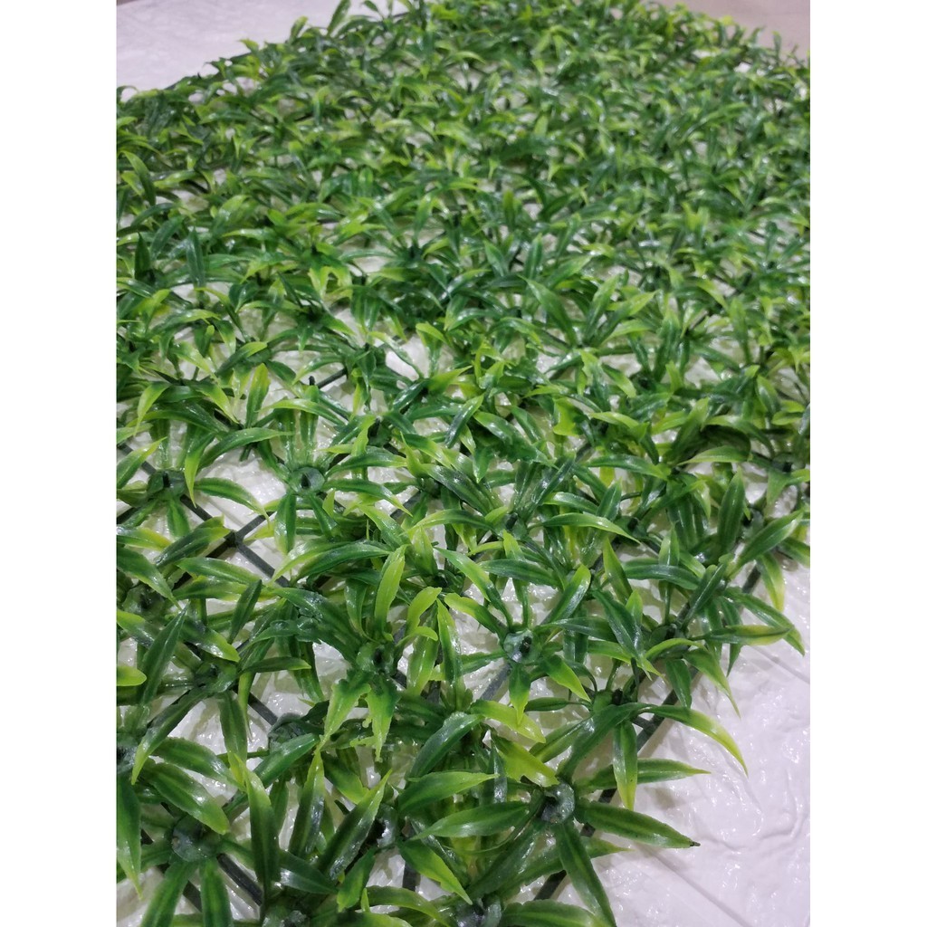 Rectangle Artificial Carabao grassmat 40x60 | Shopee Philippines