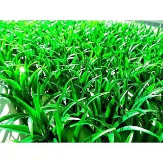 Rectangle Carabao Green Grass Artificial 40x60cm/16×24 | Shopee Philippines