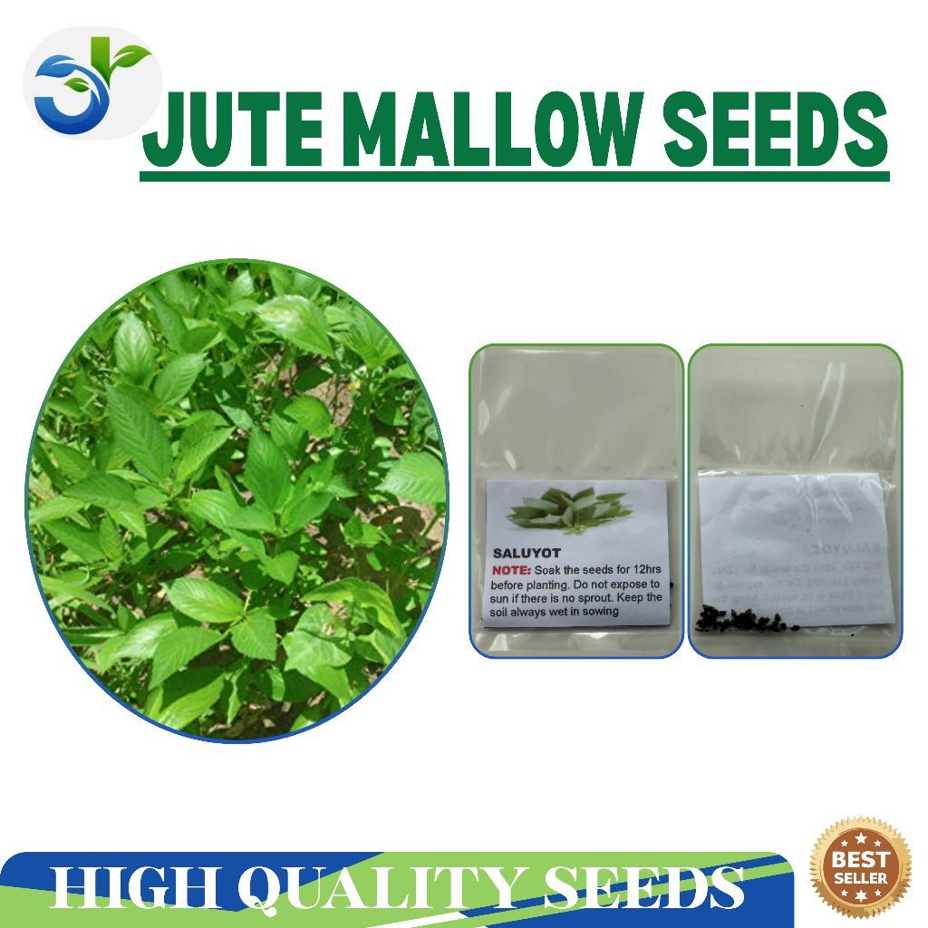 Jute Mallow / Saluyot Seeds / 30seeds - (1 pack) | Shopee Philippines
