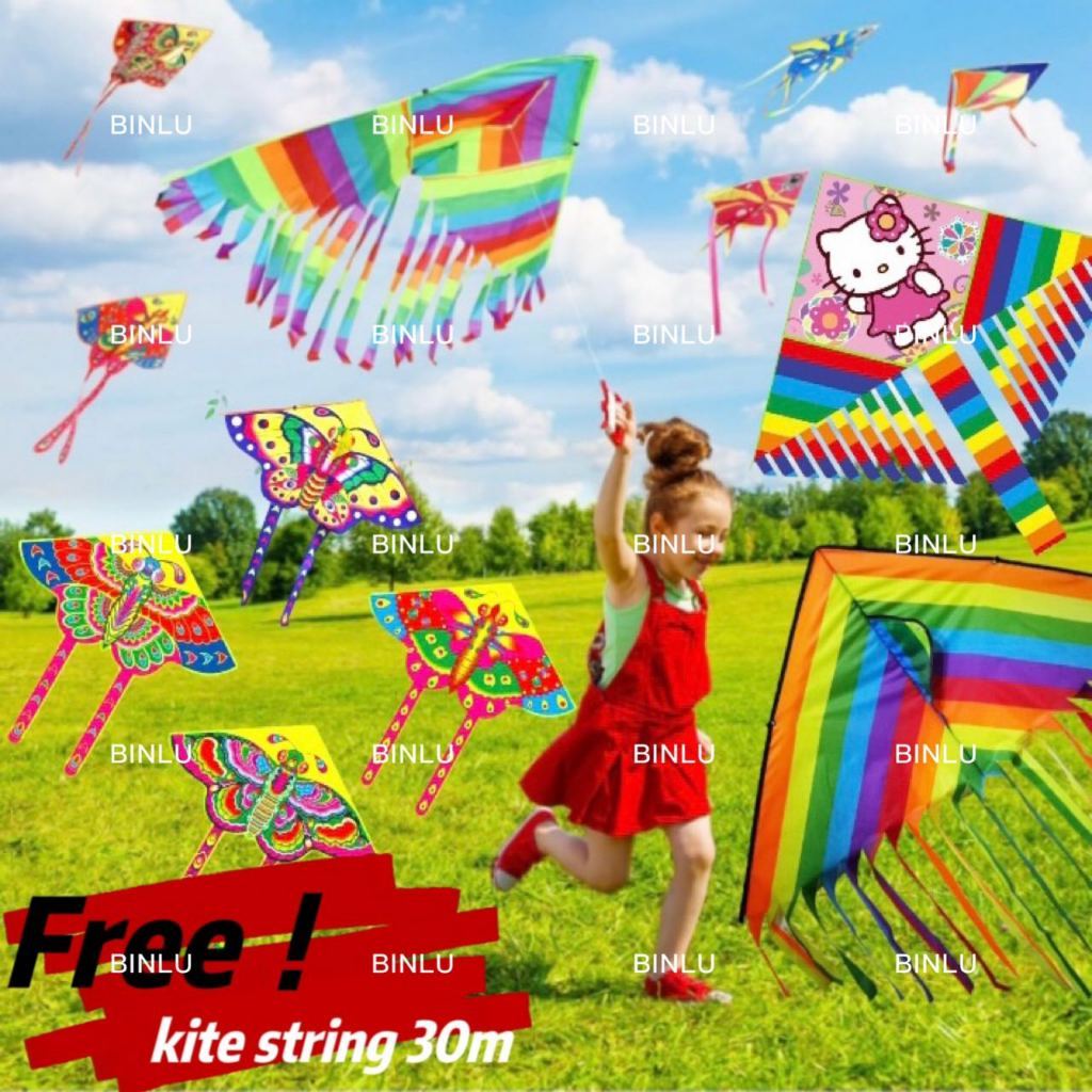 Big kite butterfly kite for kids with string kite for adult long tail ...