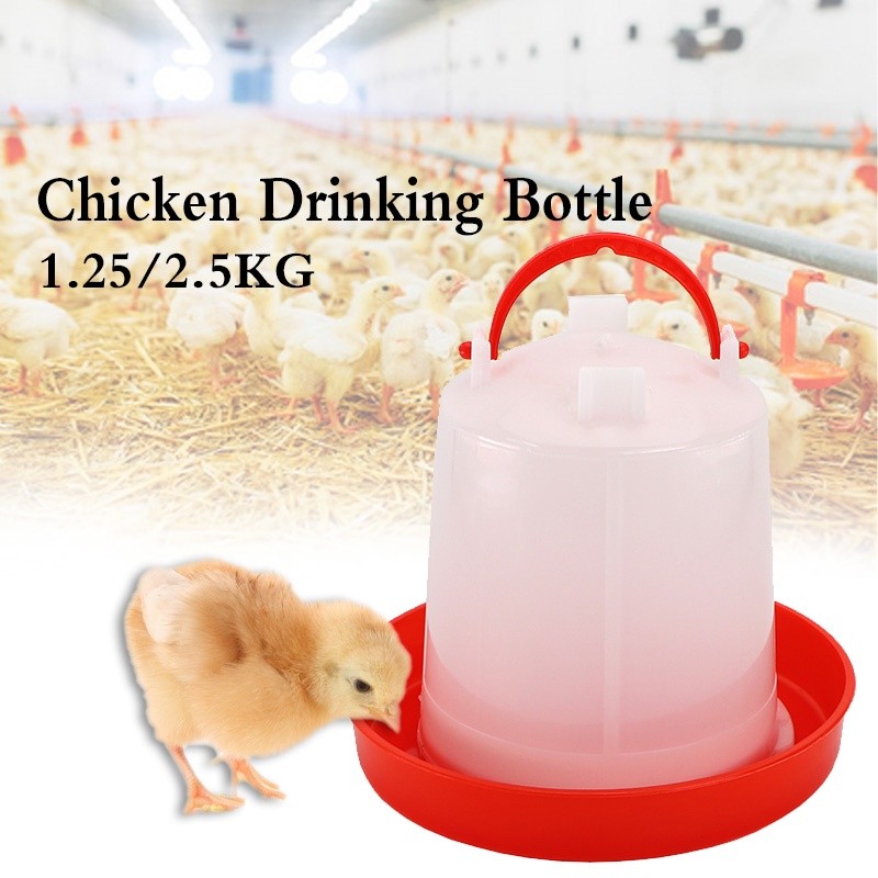 Poultry Hen Drinker Quail Chicken Drinker Chick Hen Water Bucket ...