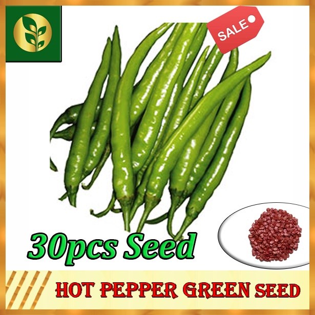 Green Hot Pepper Seeds | Siling Green Seeds | Chili Seeds | Sili Seeds ...