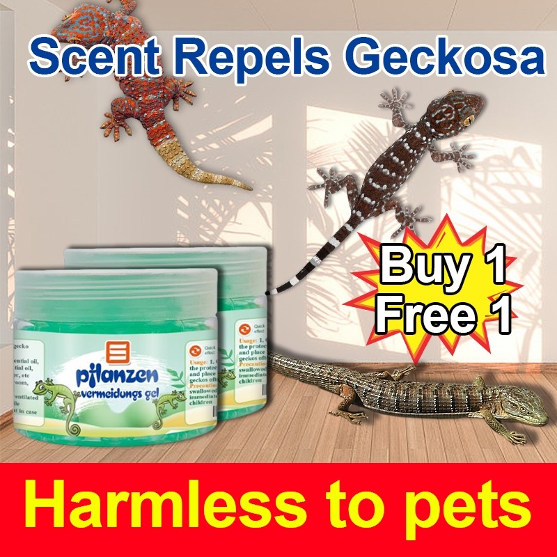 Lizards never dare to come again KAMI Lizard repellent Anti lizard Buy ...