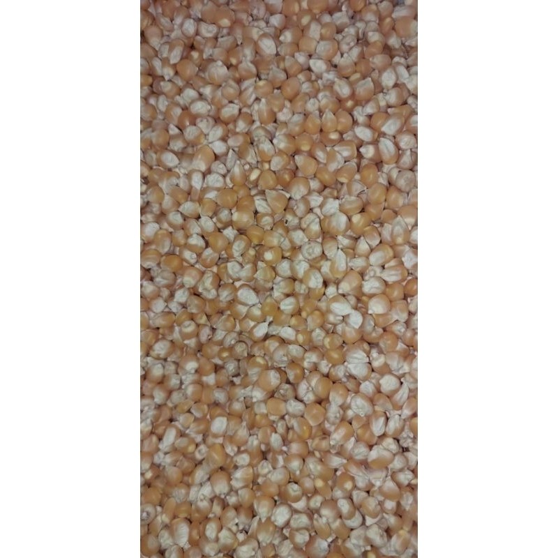 WHOLE CORN SMALL YELLOW 1KG REPACKED | Shopee Philippines