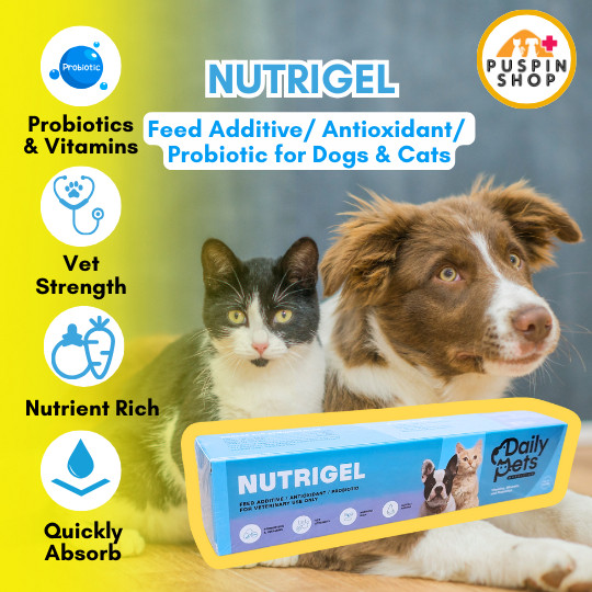 Daily Pets NUTRIGEL Vet-Strength Probiotic and Vitamin Enriched Feed ...