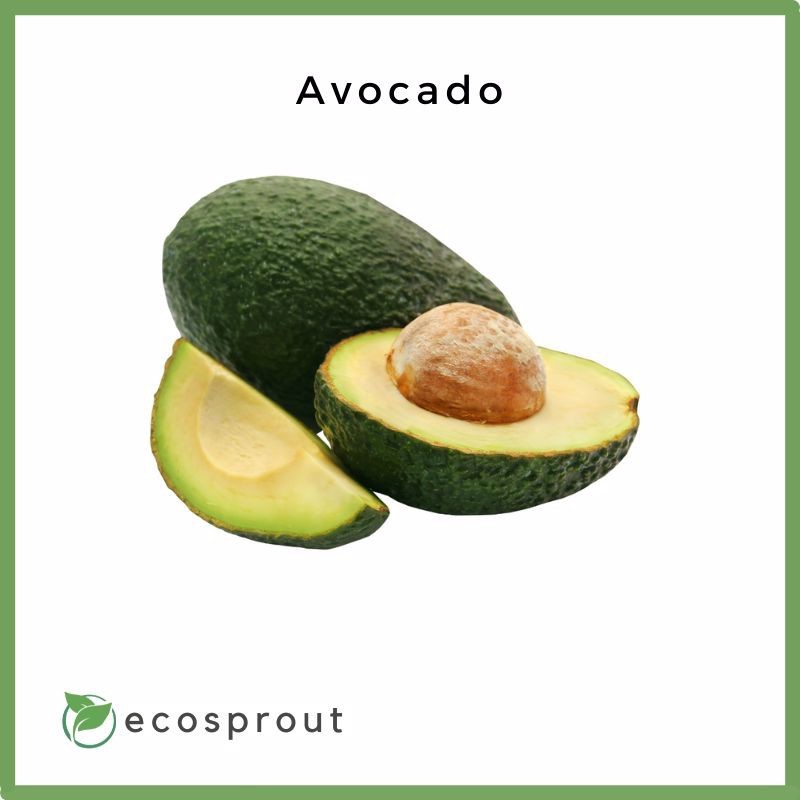 Fresh Avocado | Per 1kg | Fresh Vegetables | Fresh Fruits | Groceries ...