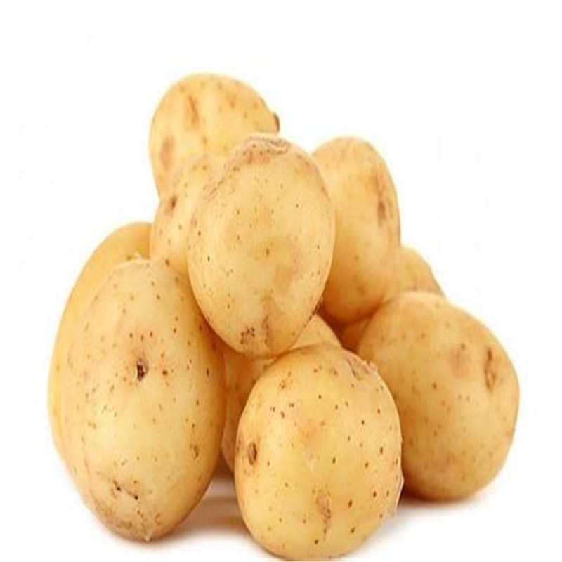 100 Pcs Vegetable Seeds Yellow Potato plants Bonsai Tree Vegetable for ...