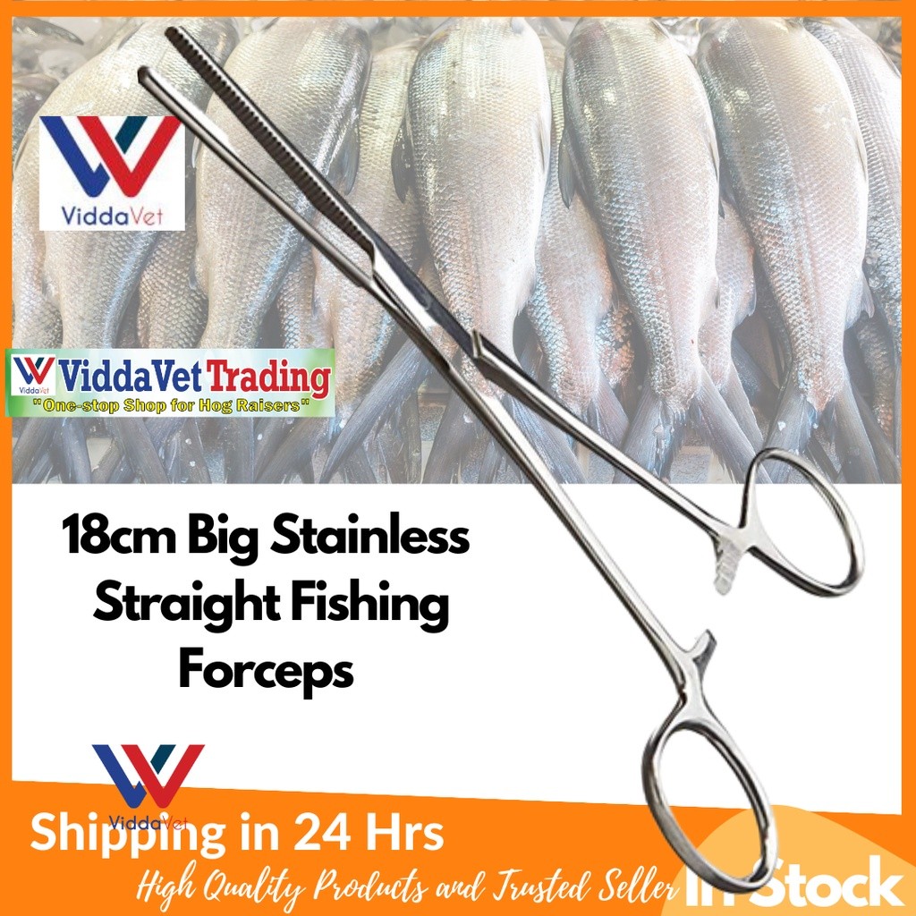 18 cm Forceps Straight Big Stainless Surgical Tool 7.5 Fish deboning ...