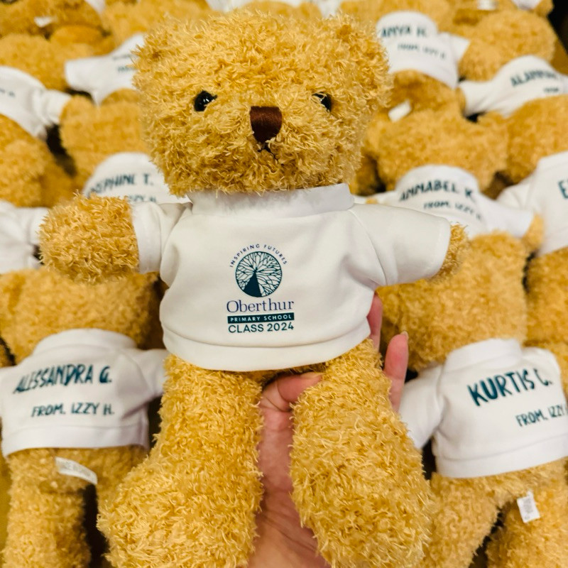 Personalized Gift Teddy Bear with Name or Message Stuffed Toy Kids ...